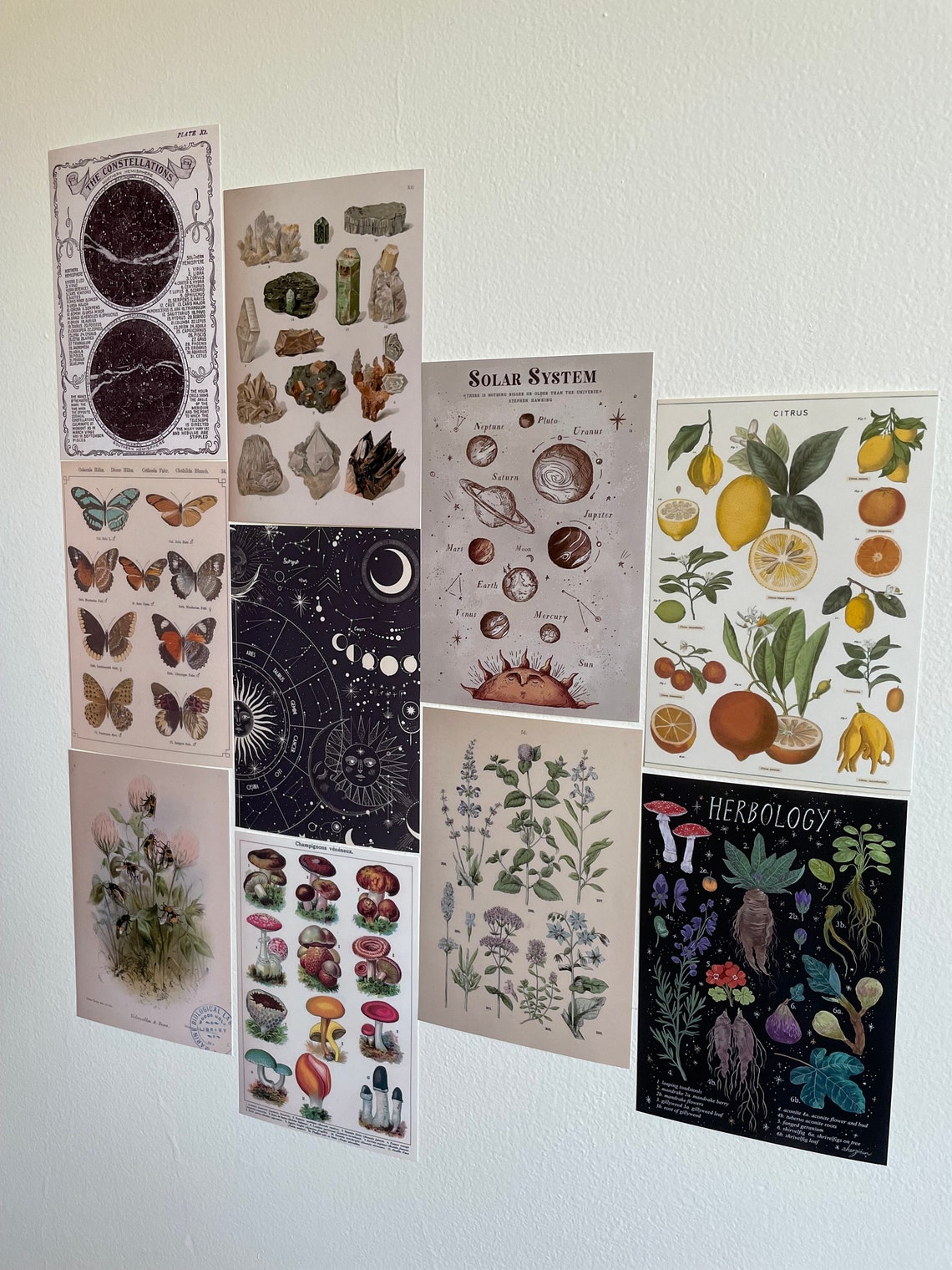 Vintage Nature Botanical & Astronomy Chart Images Aesthetic - Etsy