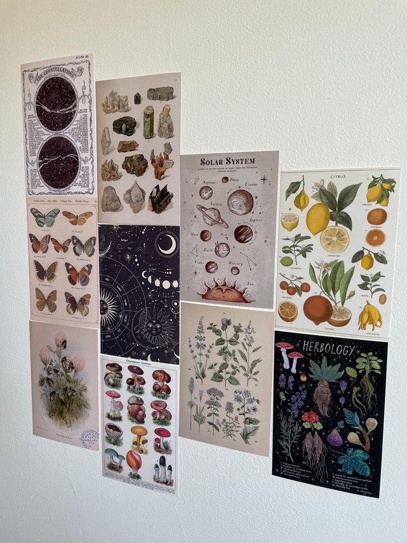 Vintage Nature Botanical & Astronomy Chart Images Aesthetic - Etsy