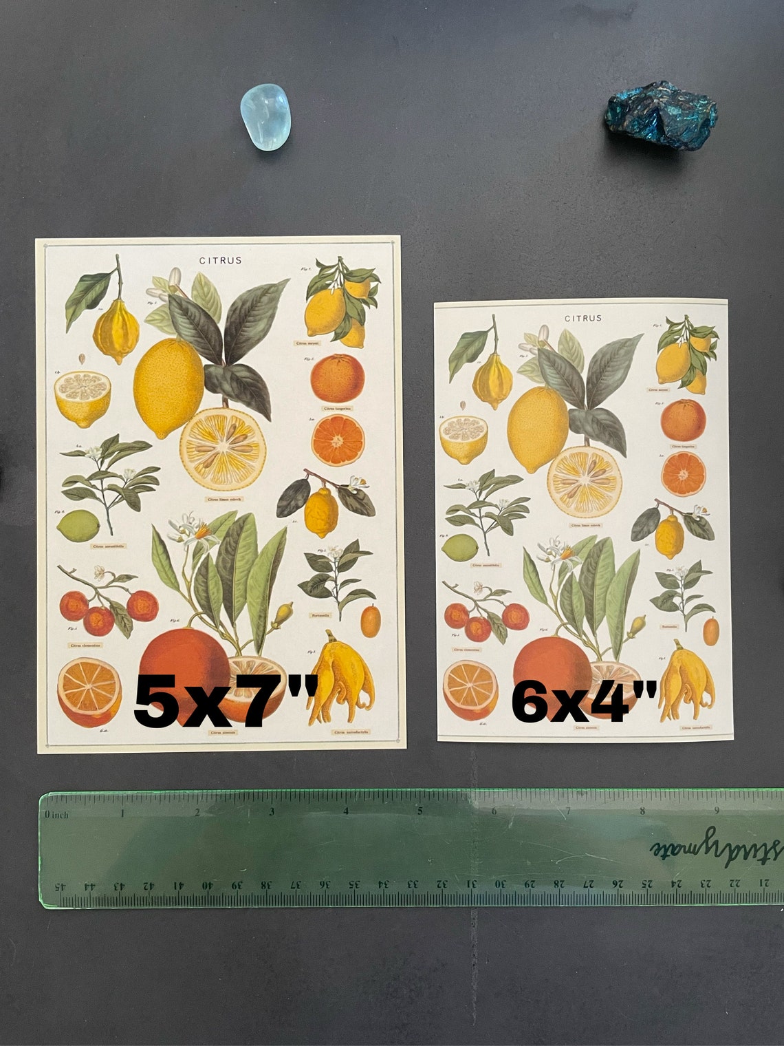 Vintage Nature Botanical & Astronomy Chart Images Aesthetic - Etsy