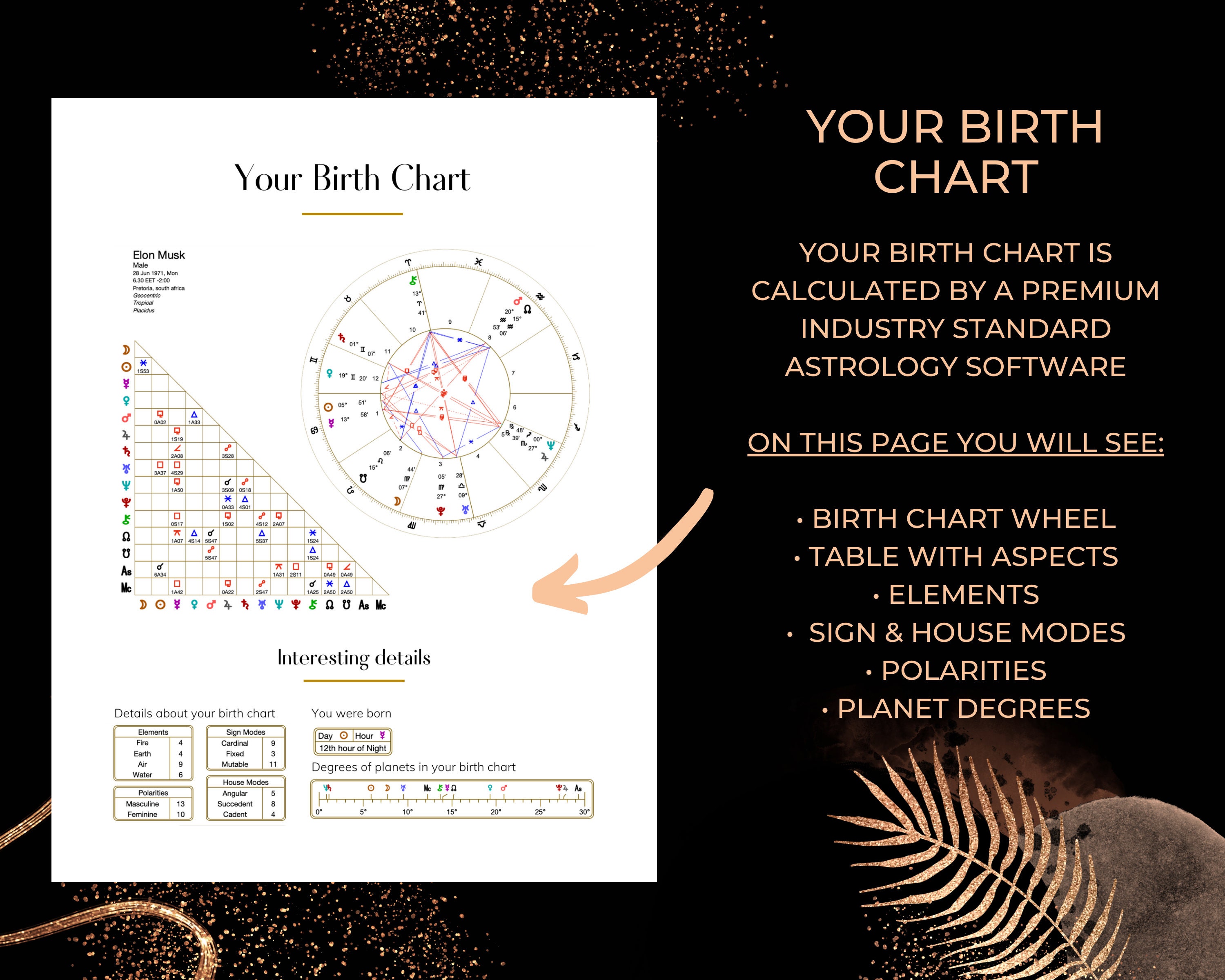 Astrology Birth Chart Reading, Personalized Birth Chart Report, Natal ...