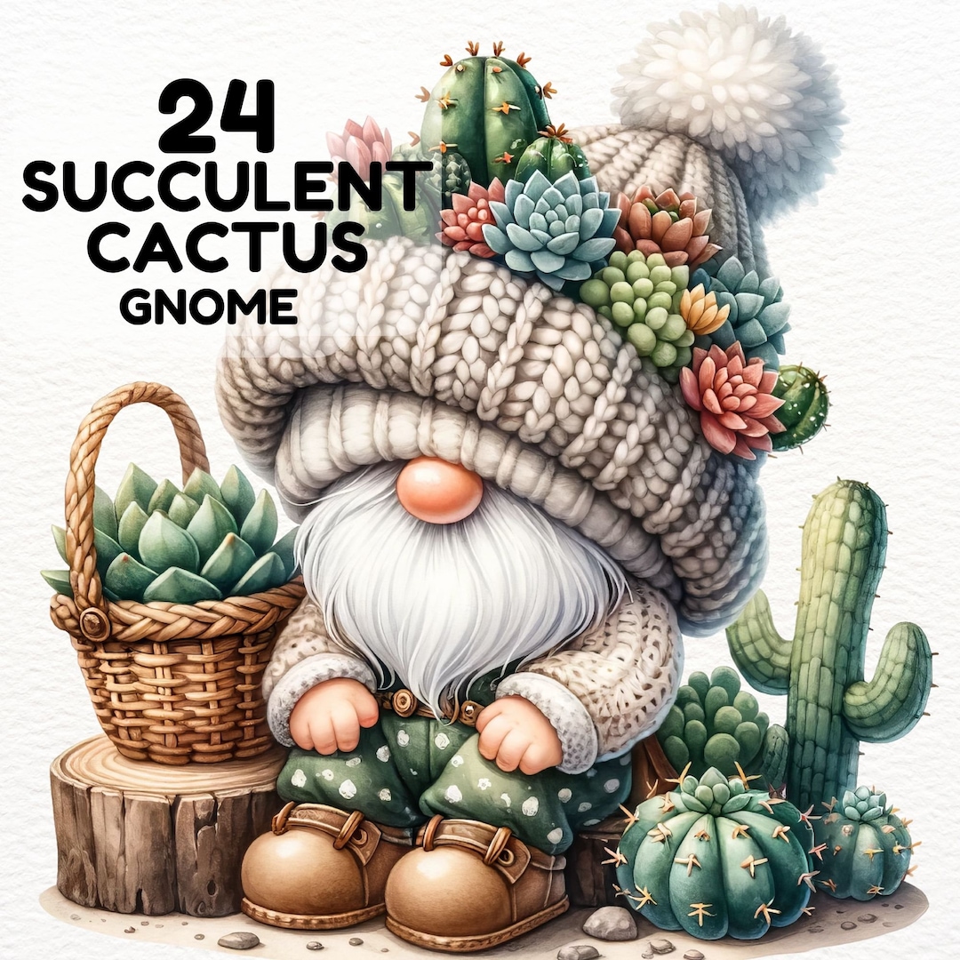 Succulent Cactus Gnome Clipart, Cute Gnome PNG, Gnome Sublimation ...