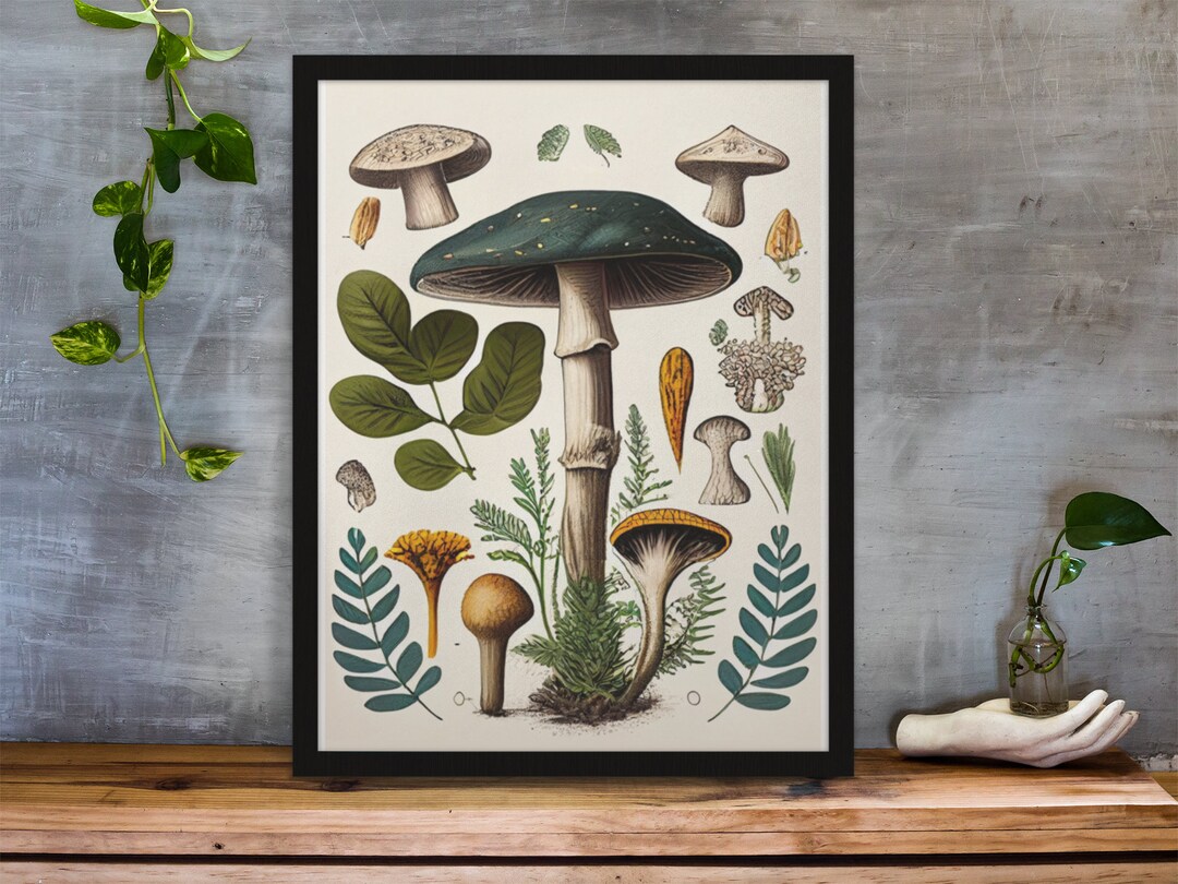 Vintage Mushroom Print Mushroom Science Mushroom Adolphe - Etsy