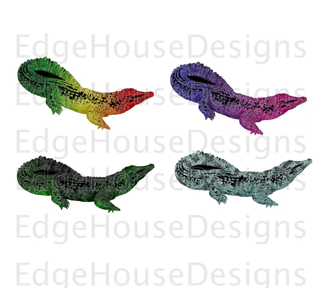 Alligator / American Alligator Clipart / Png / Digital Files - Etsy