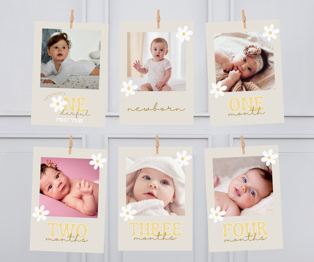 EDITABLE Daisy Monthly Photo Banner, Daisy Monthly Photos Tags ...