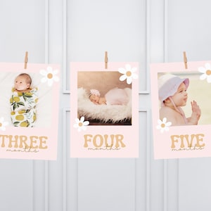 EDITABLE Daisy Monthly Photo Banner, Daisy Monthly Photos Tags ...