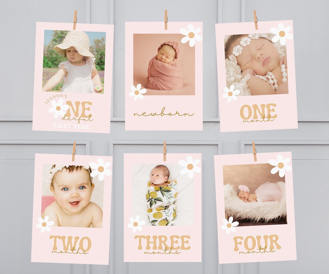 EDITABLE Daisy Monthly Photo Banner, Daisy Monthly Photos Tags ...