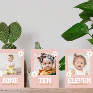 EDITABLE Daisy Monthly Photo Banner, Daisy Monthly Photos Tags ...