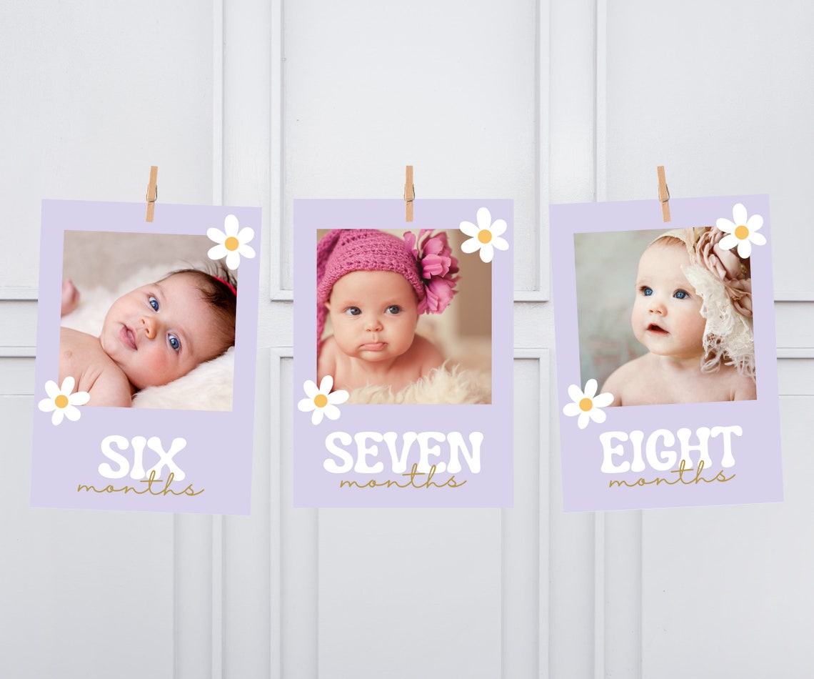 EDITABLE Daisy Monthly Photo Banner, Daisy Monthly Photos Tags ...