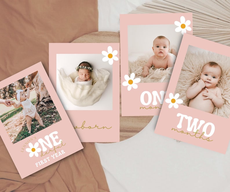 EDITABLE Daisy Monthly Photo Banner, Daisy Monthly Photos Tags ...