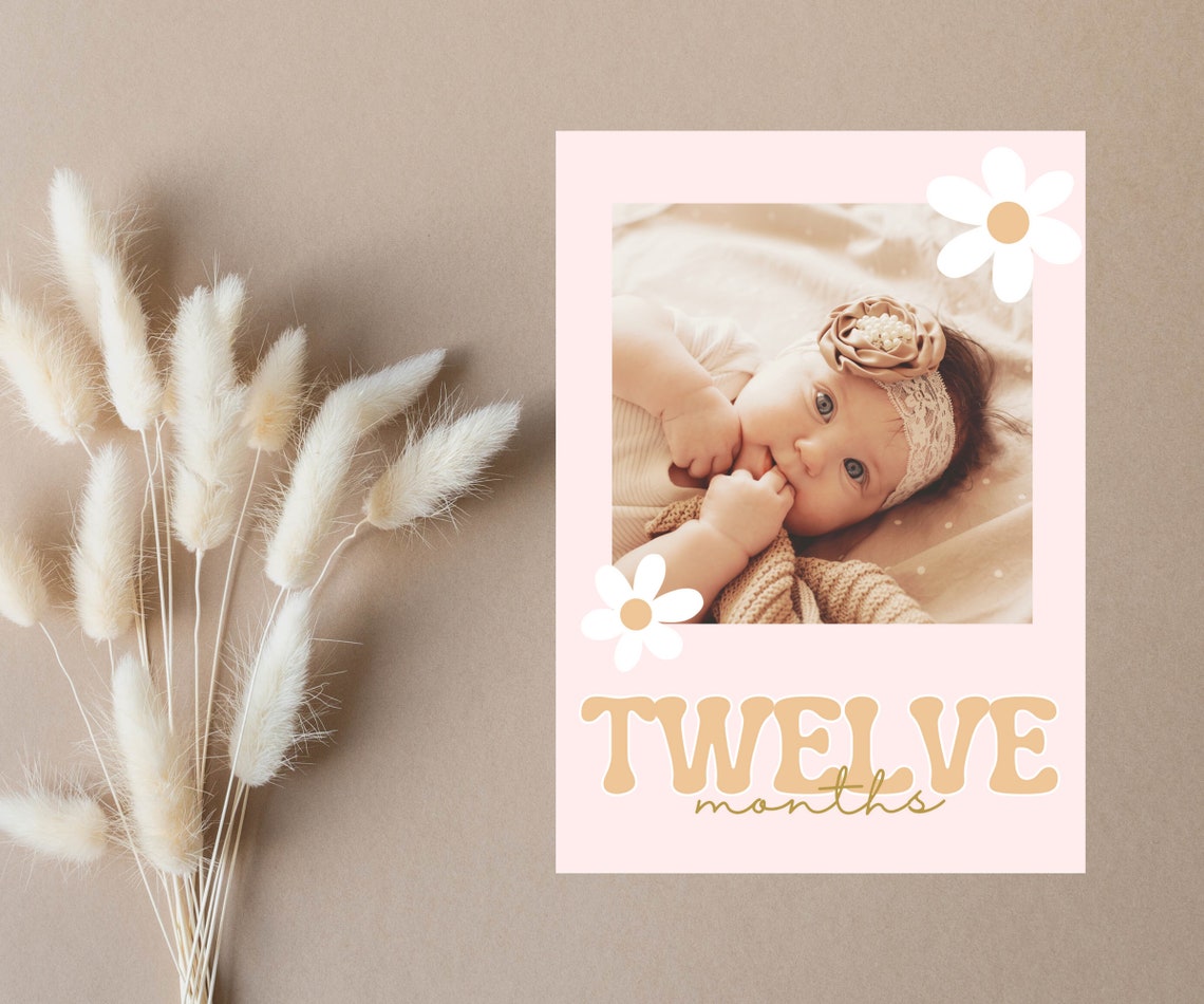 EDITABLE Daisy Monthly Photo Banner, Daisy Monthly Photos Tags ...