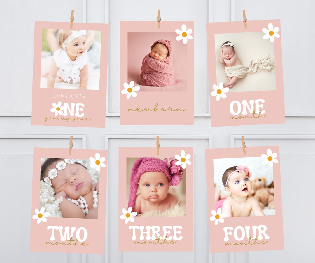 EDITABLE Daisy Monthly Photo Banner, Daisy Monthly Photos Tags ...