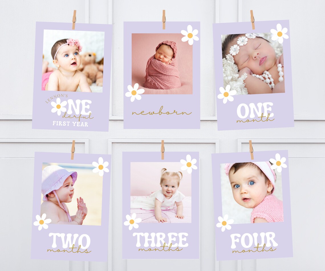 EDITABLE Daisy Monthly Photo Banner, Daisy Monthly Photos Tags ...