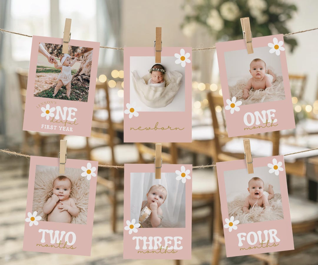EDITABLE Daisy Monthly Photo Banner, Daisy Monthly Photos Tags ...