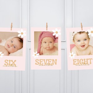 EDITABLE Daisy Monthly Photo Banner, Daisy Monthly Photos Tags ...