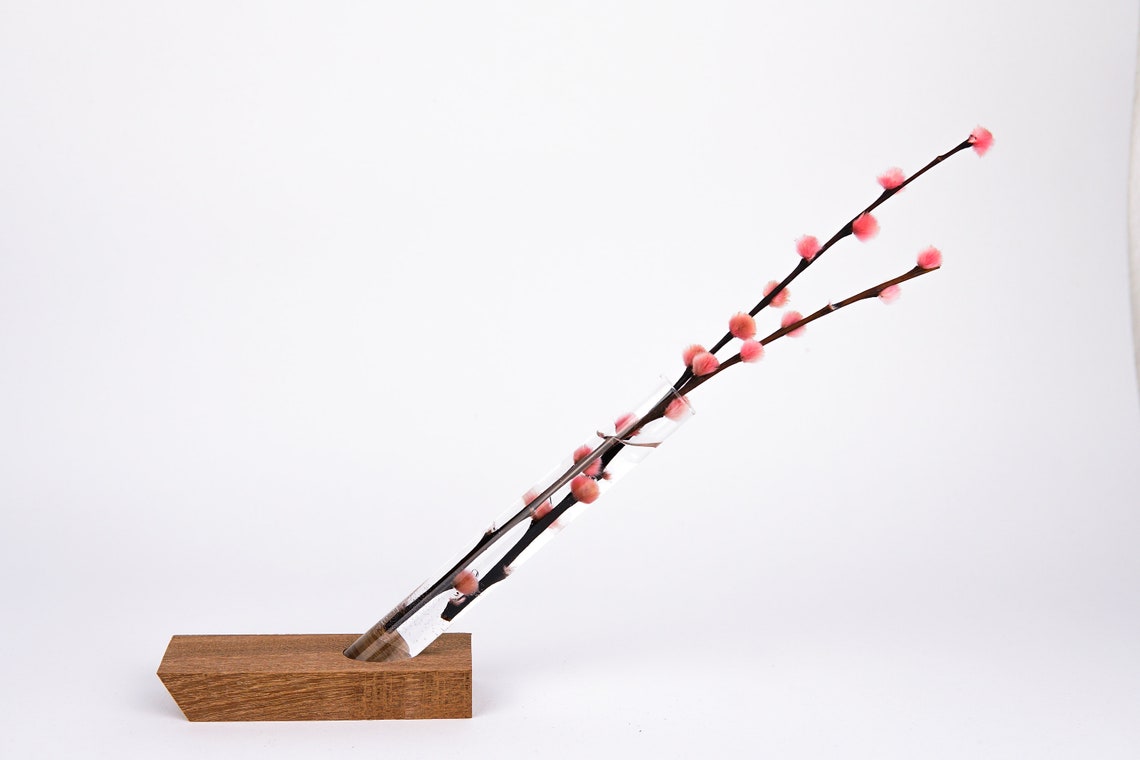 Vase holz reagenzglas blumen bongossi blumenvase - Etsy