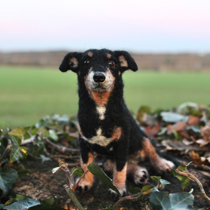 Needle Felt Pet - Etsy
