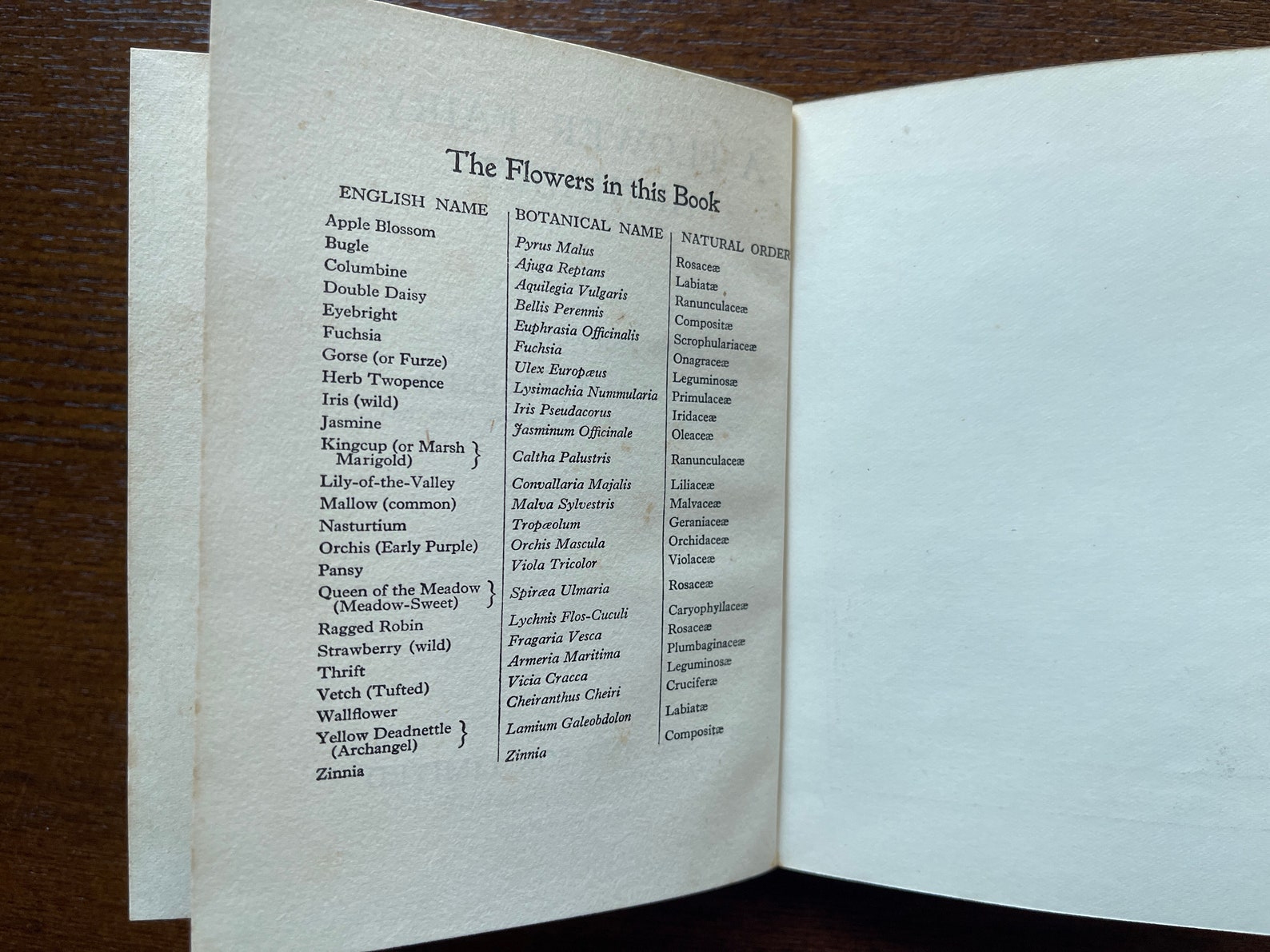 A Flower Fairy Alphabet Antique Book 50s - Etsy