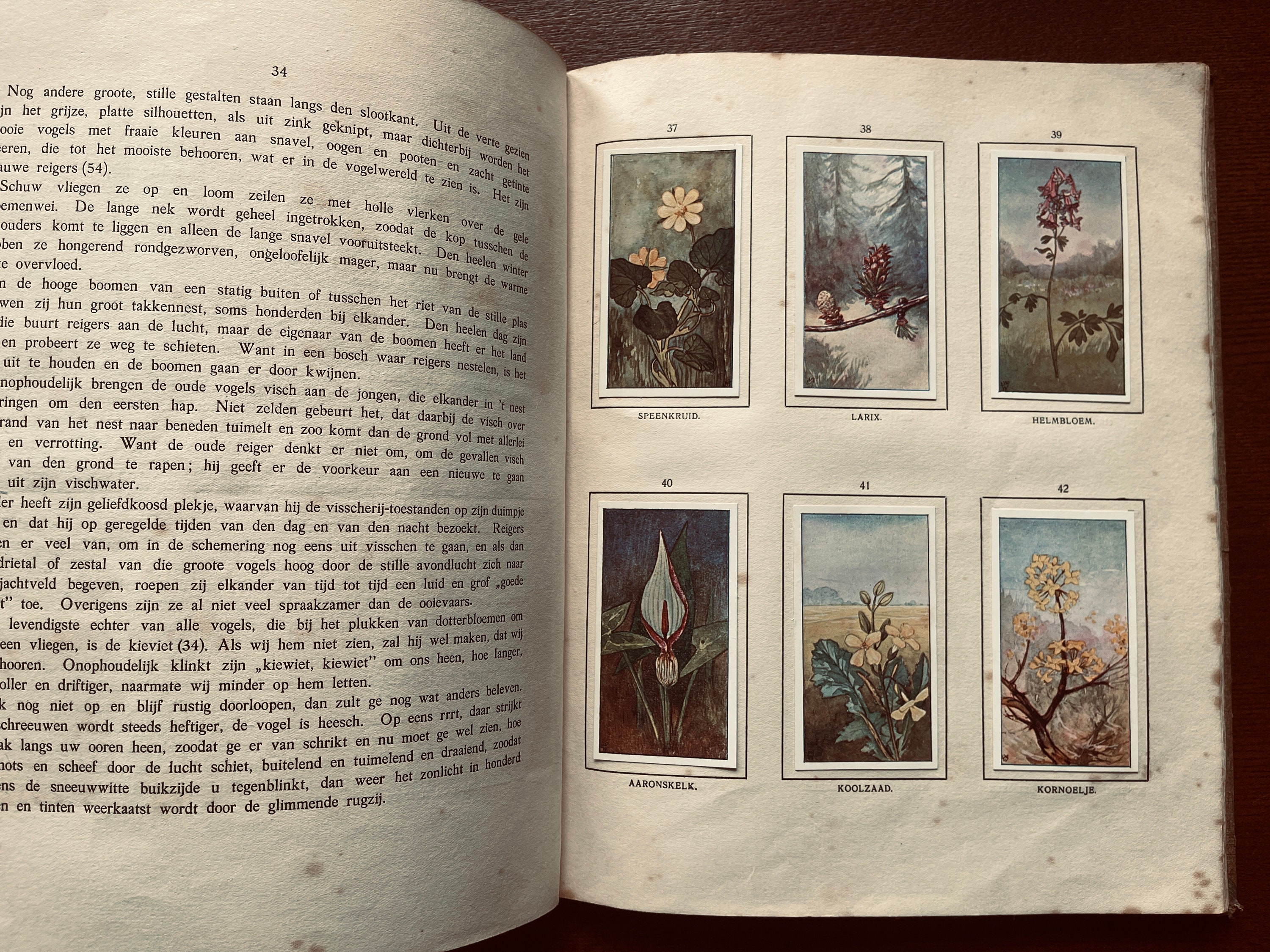 Vintage Antique Collectible Picture Album VERKADE 1912 the Netherlands ...