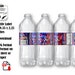 Sonic the Hedgehog Water Bottle Label: Birthday Party Favors (digital ...