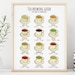 Tea Brewing Guide Infographic Poster Digital Download - Etsy