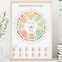 Essential Oil Frequency Chart, Printable, Young Living Essential Oils ...