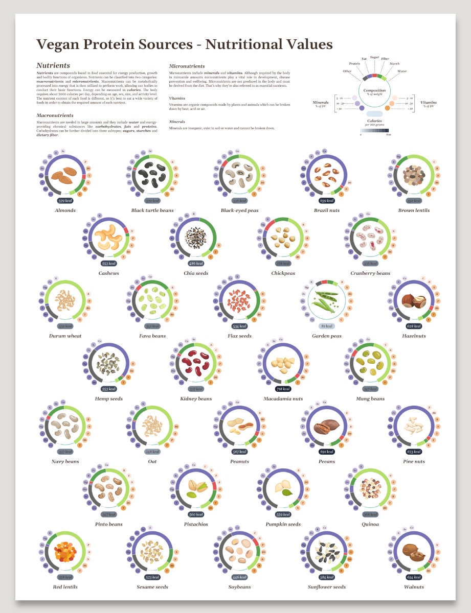 Vegan Protein Sources Nutrition Infographic Poster Vegan | Etsy
