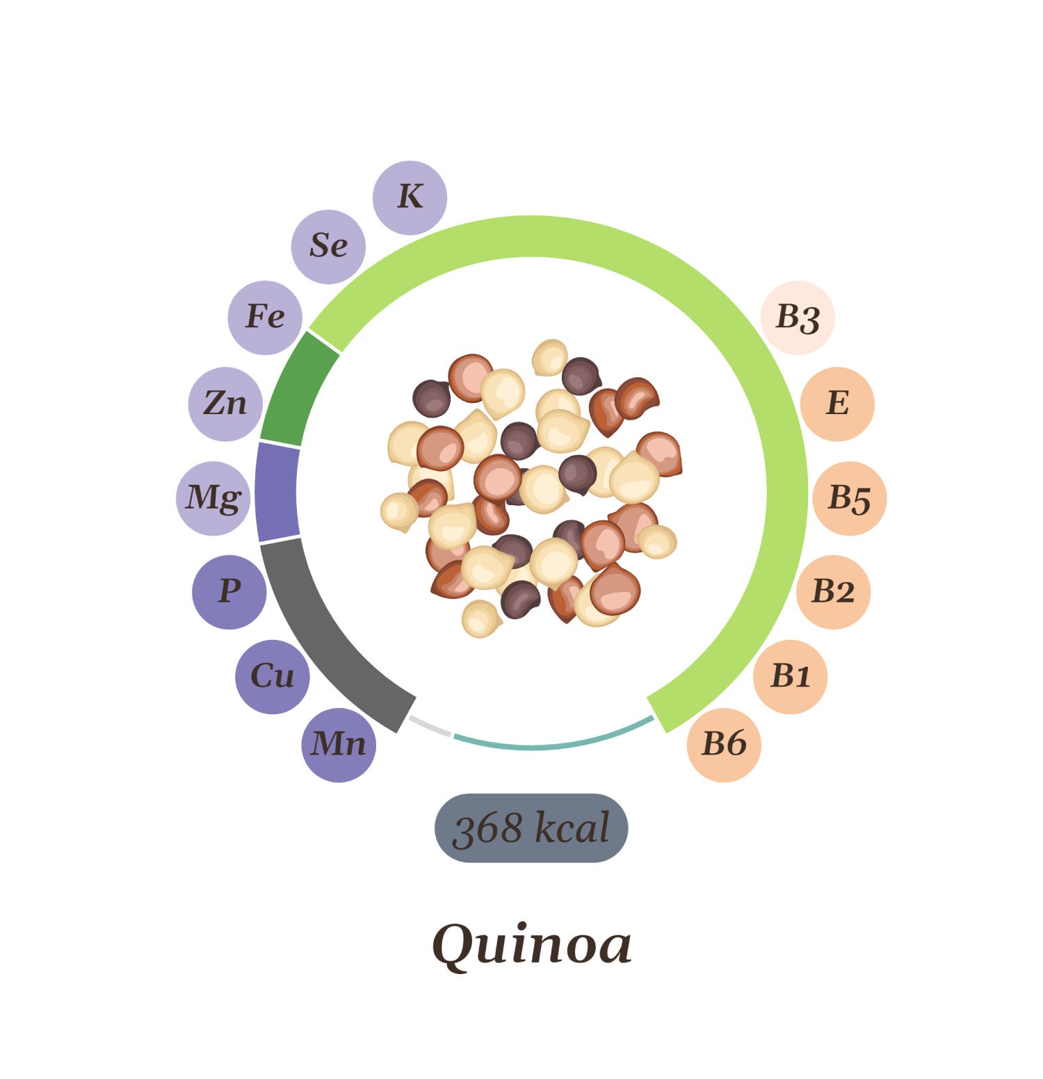 Vegan Food Atlas Nutrition Infographic Ebook Cooking Guide | Etsy