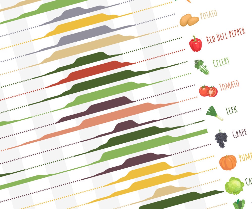 Eat Fresh Eat Local Seasonal Fruits and Vegetables Guide - Etsy