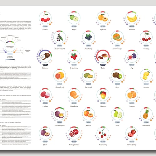 Fruits Nutrition Infographic Poster Vegan Guide Digital - Etsy