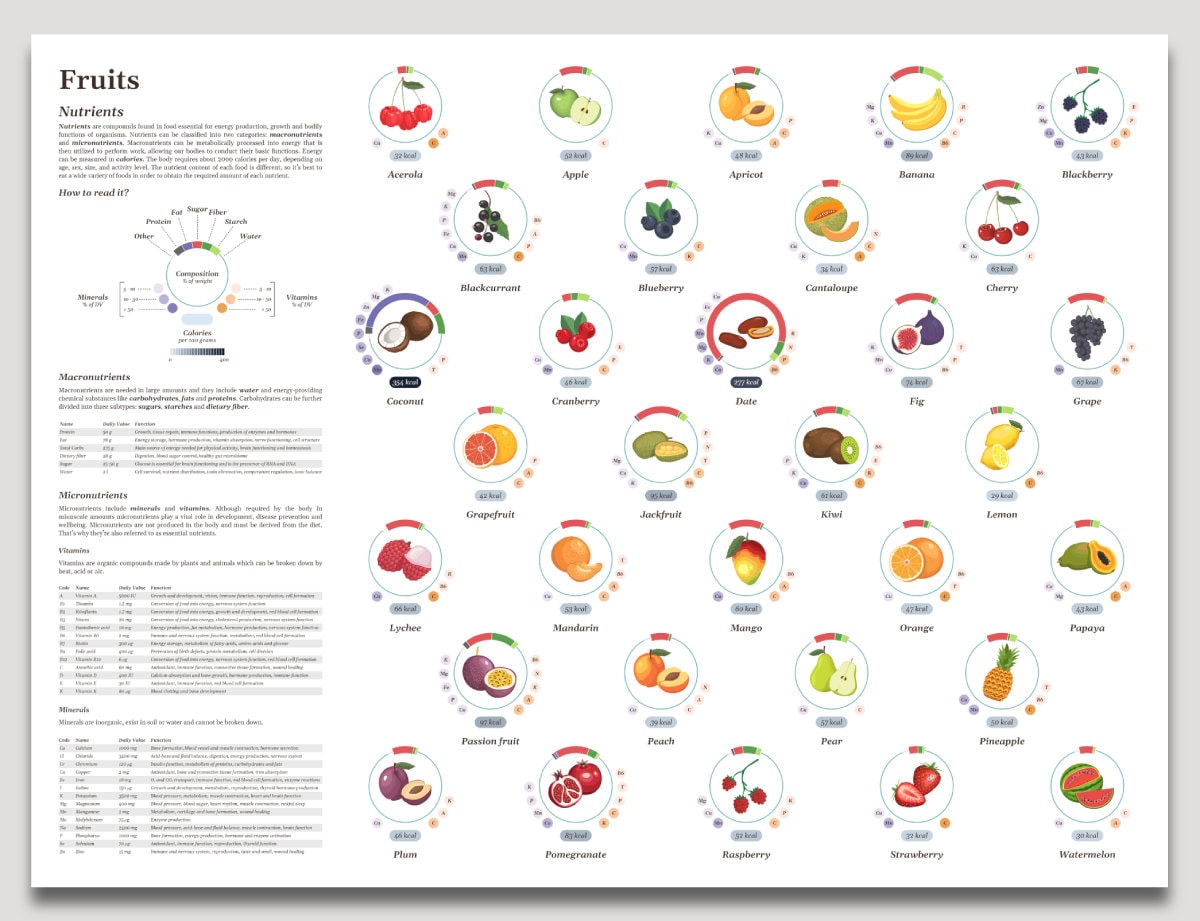Fruits - Nutrition Infographic Poster, Vegan Guide - Digital Download ...