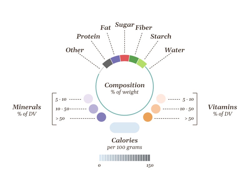 Vegan Food Atlas Nutrition Infographic Ebook Cooking Guide | Etsy