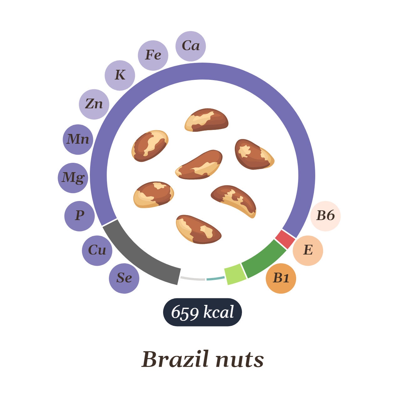 Vegan Protein Sources Nutrition Infographic Poster Vegan | Etsy