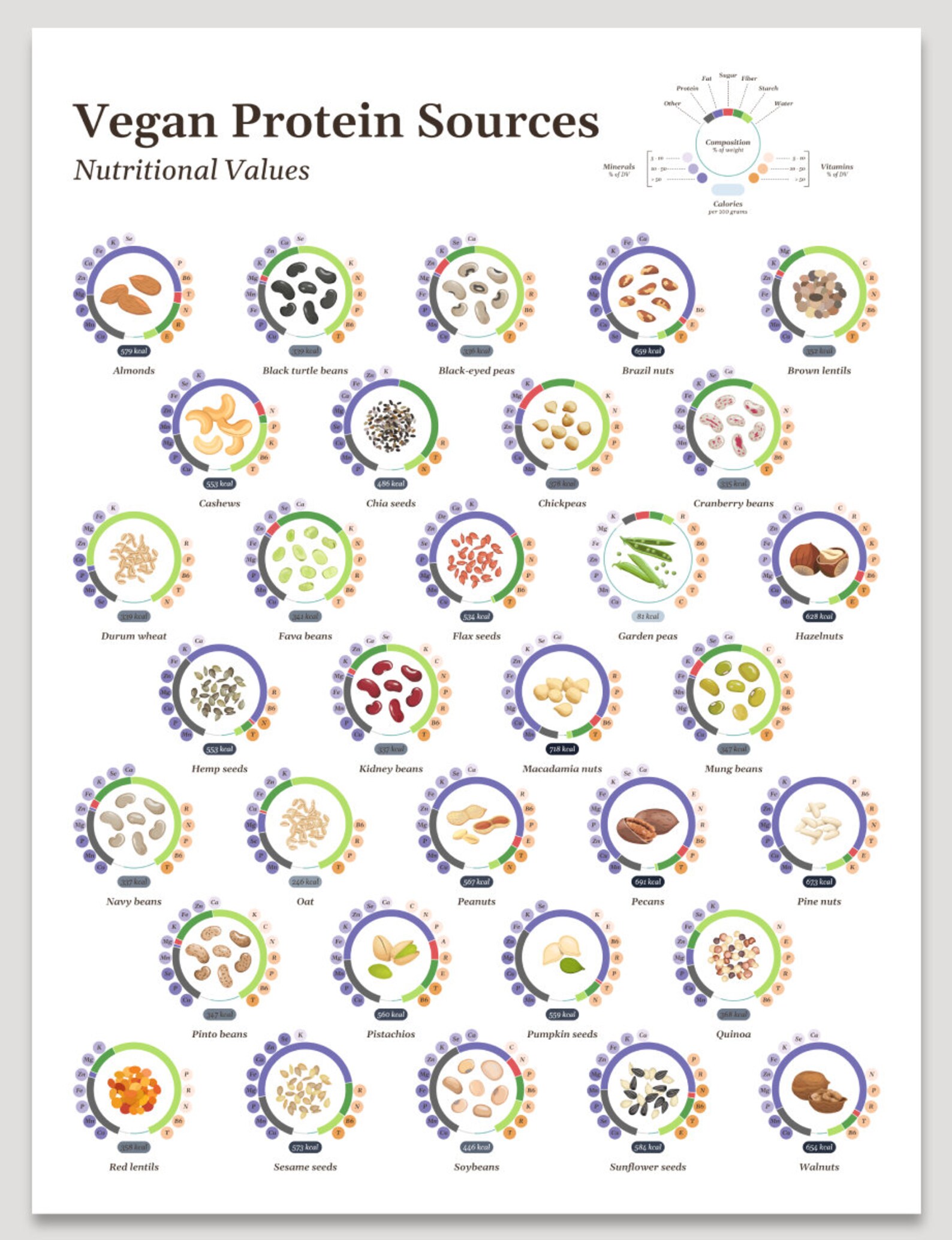 Vegan Protein Sources - Nutrition Infographic Poster, Vegan Guide ...