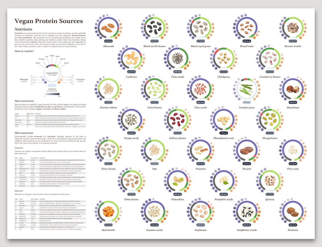 Vegan Protein Sources Nutrition Infographic Poster Vegan - Etsy