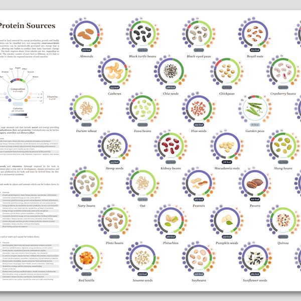 Infographic Poster - Etsy