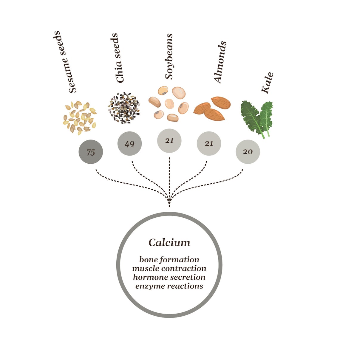 Vitamin and Mineral Sources - Micronutrient-rich Vegan Food Guide ...