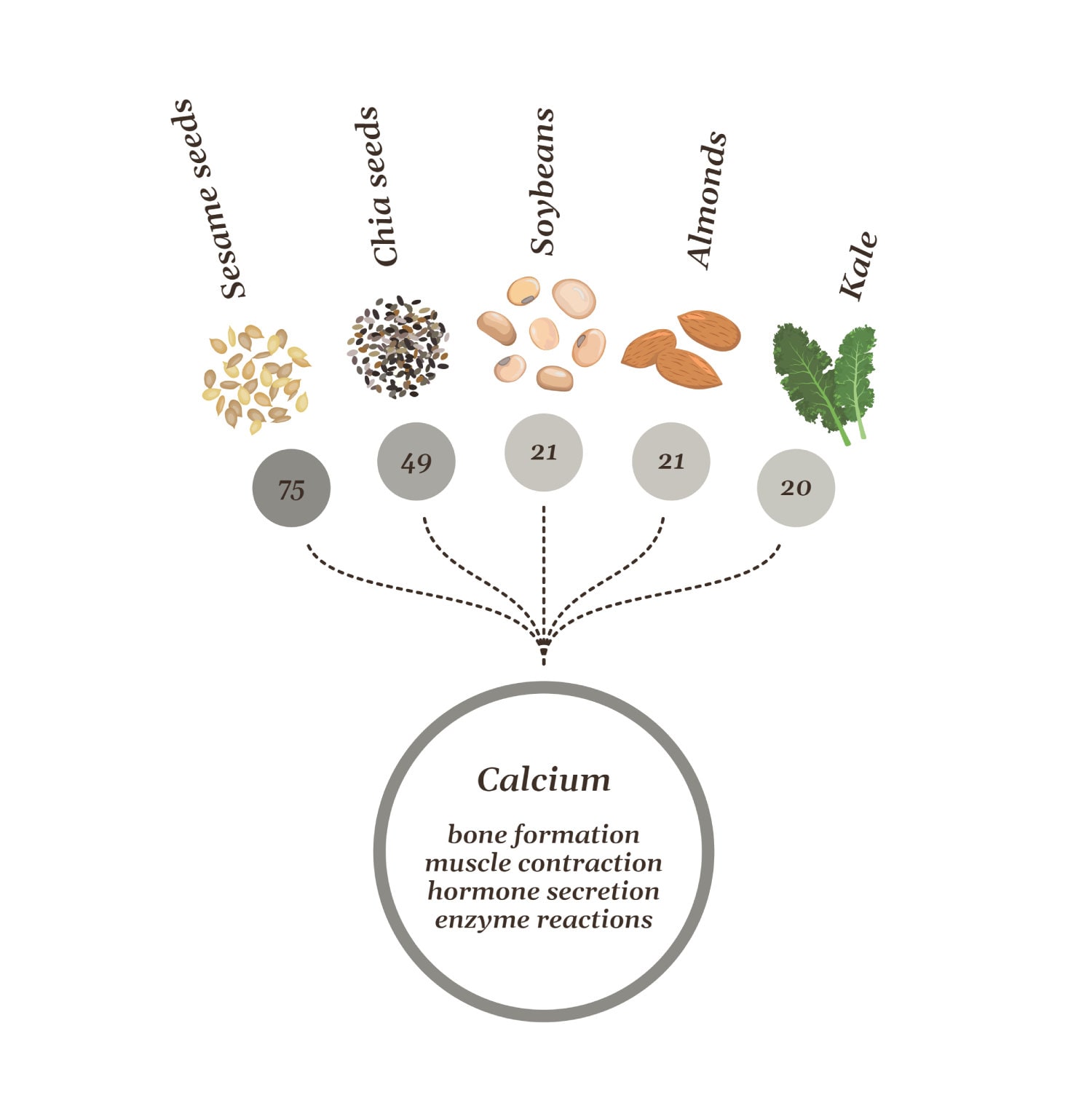Vitamin and Mineral Sources - Micronutrient-rich Vegan Food Guide ...
