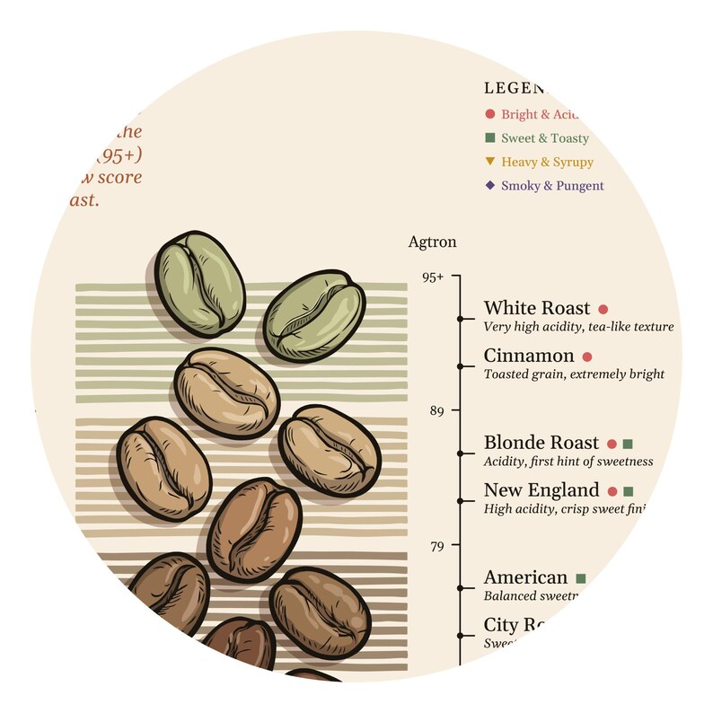 Coffee Roast Agtron Scale Poster | Coffee Bean Levels Chart (a4/a3 ...