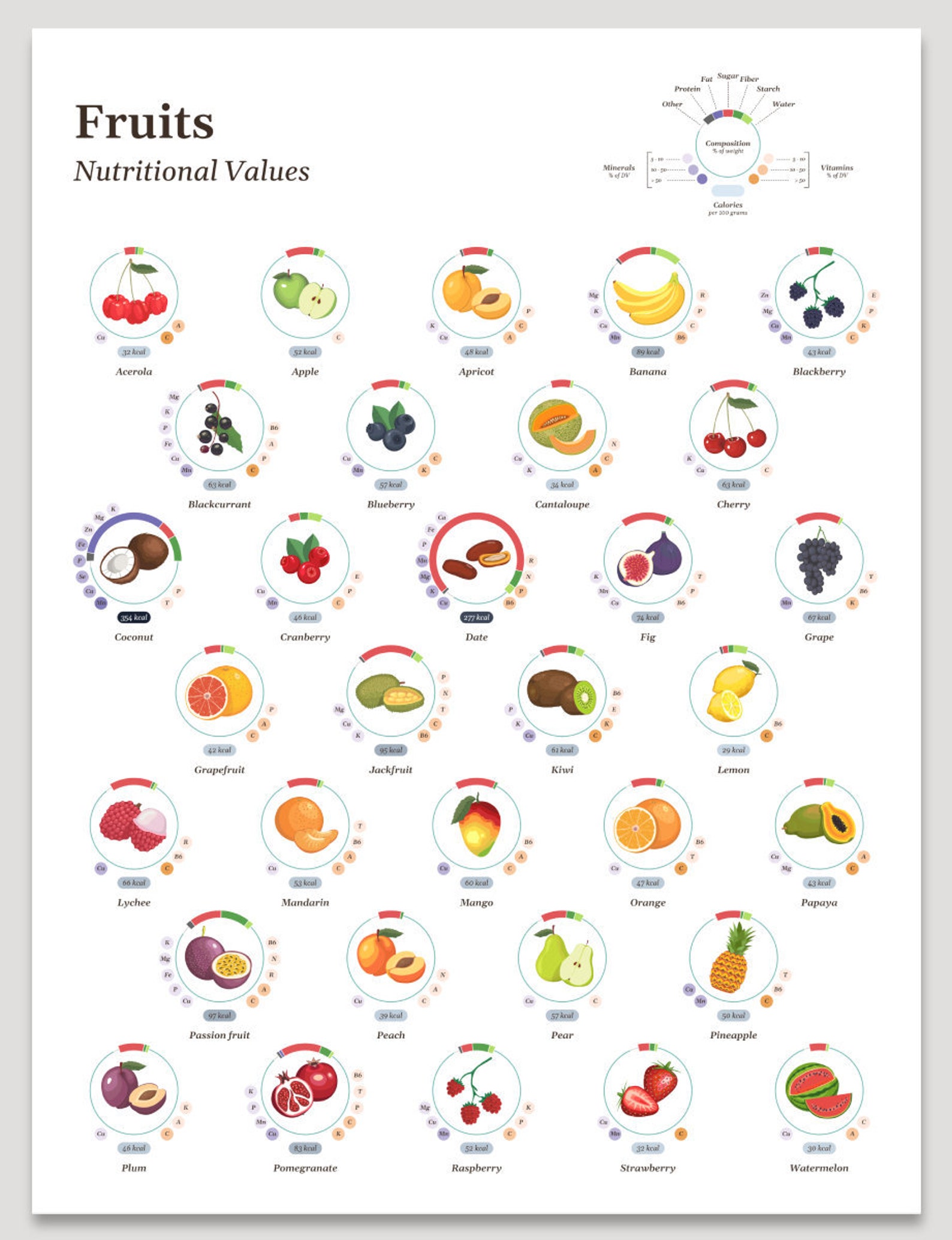 Fruits Nutrition Infographic Poster Vegan Guide Digital | Etsy