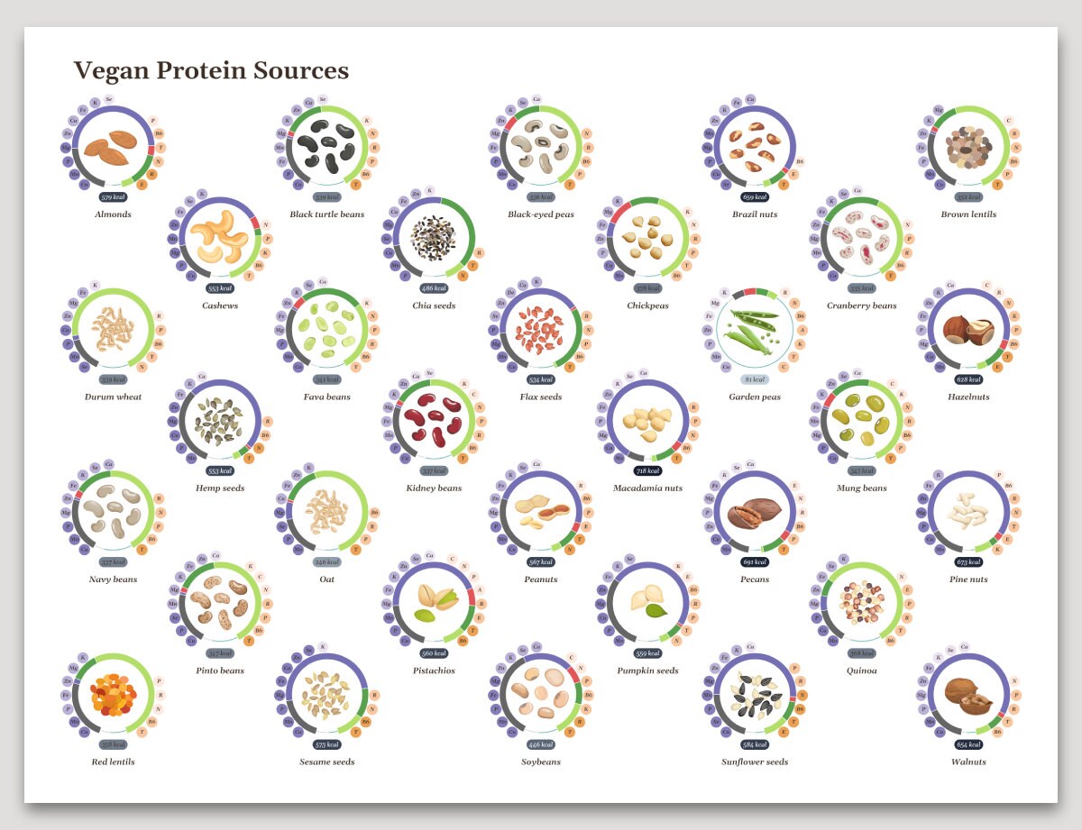 Vegan Protein Sources Nutrition Infographic Poster Vegan | Etsy