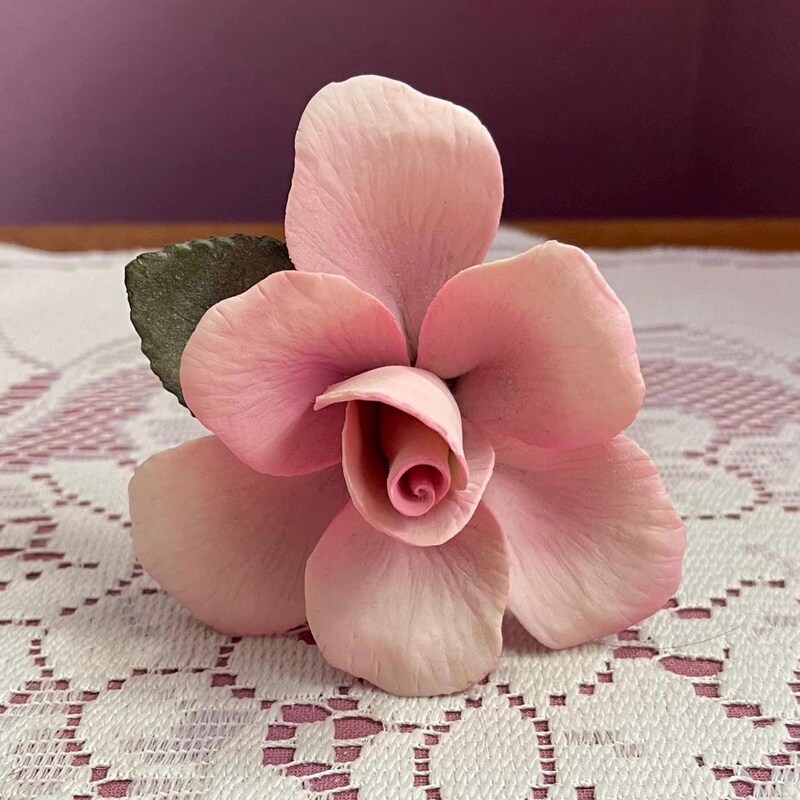 Pink Porcelain - Etsy
