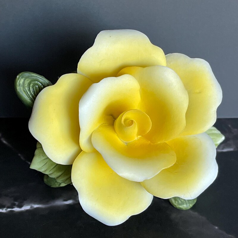 Rose Porcelain - Etsy