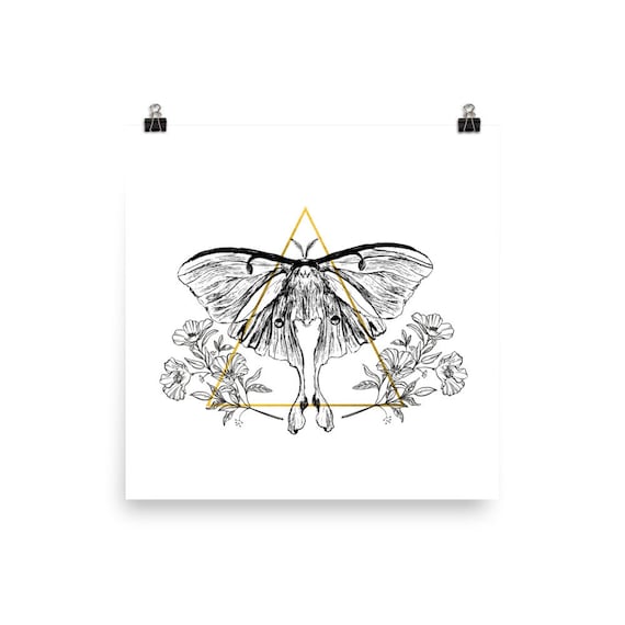 Moth Poster - Etsy