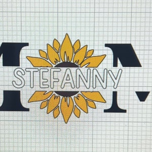 Mothers Day, Birthday, Gif. Flower Shadow Box, Personalized Flower ...