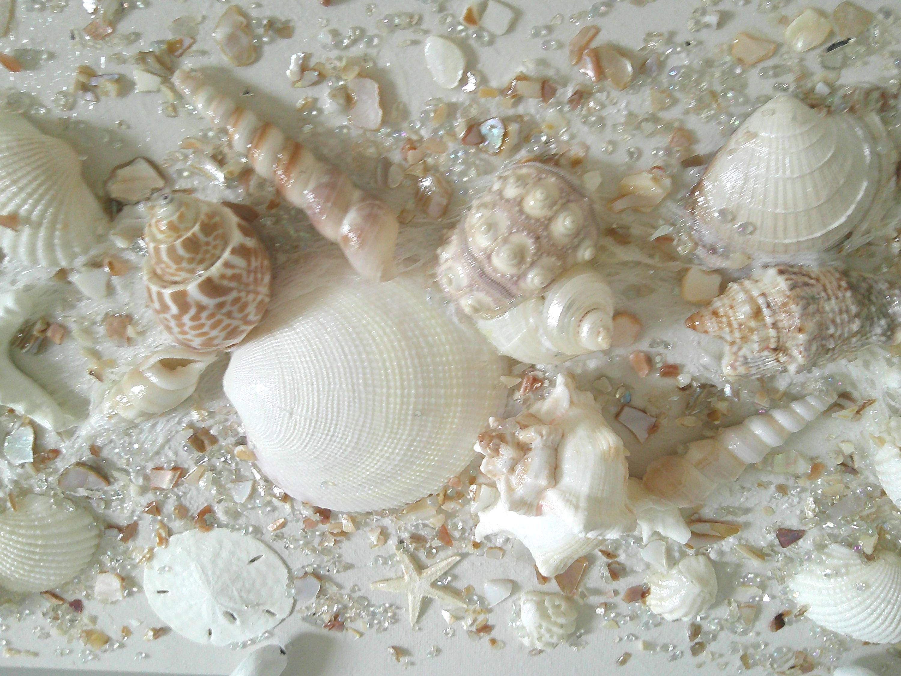 SEASHELL DÉCOR, Beach Decor Wall Art-unique Original Modern Organic ...