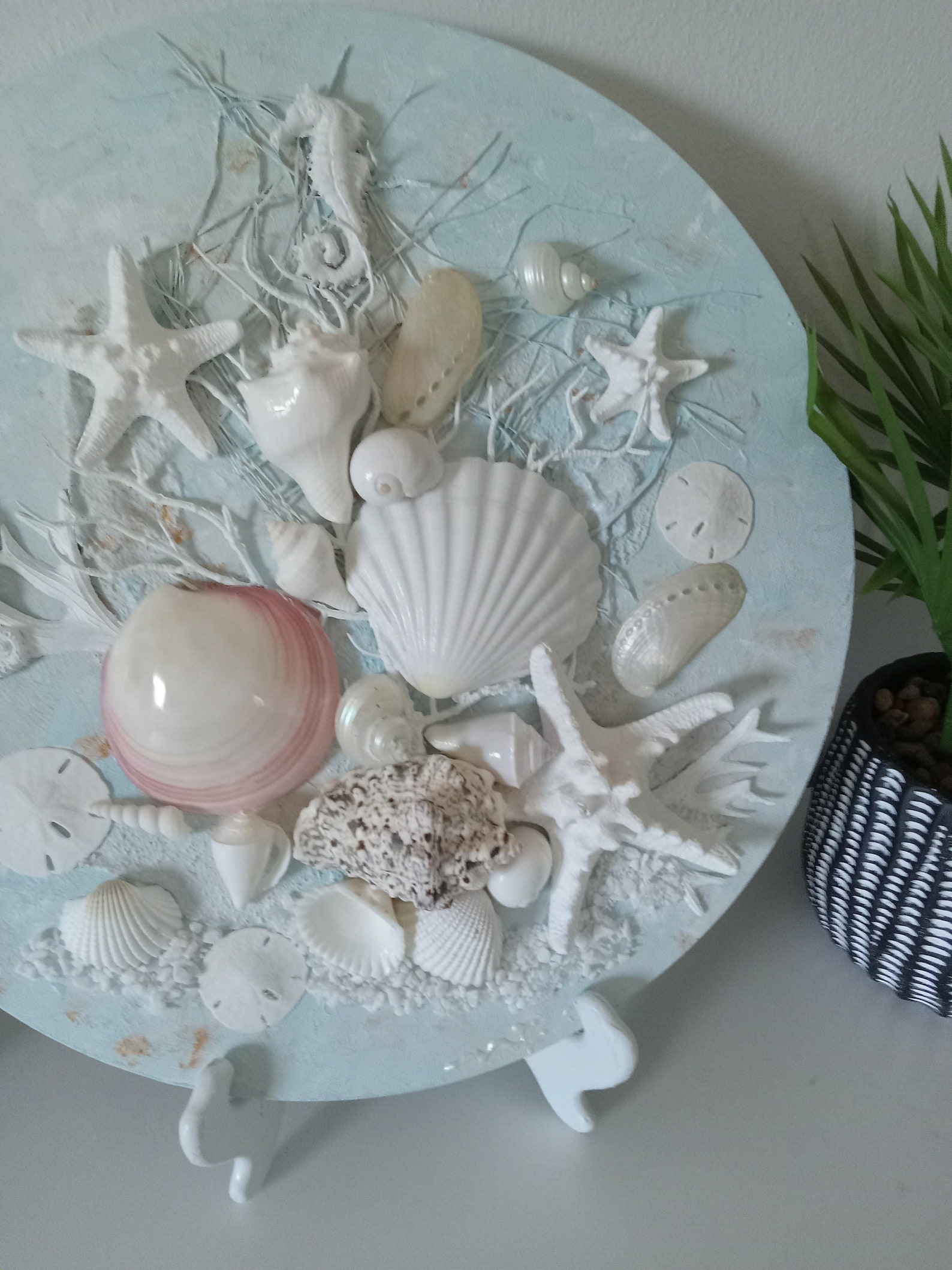 Modern Seashell Art, Coastal Wall Hanging, Unique 16 Round Canvas ...