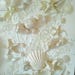 BEAUTIFUL SEASHELL Art Wall Hanging, Beach Decor Art, Unique Original ...