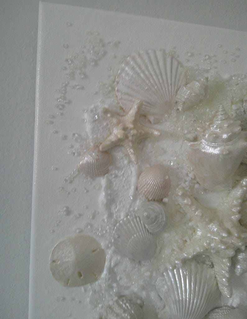 SEASHELL ART, Coastal Wall Art, Beautiful Seashell Wall Decor and Gifts ...
