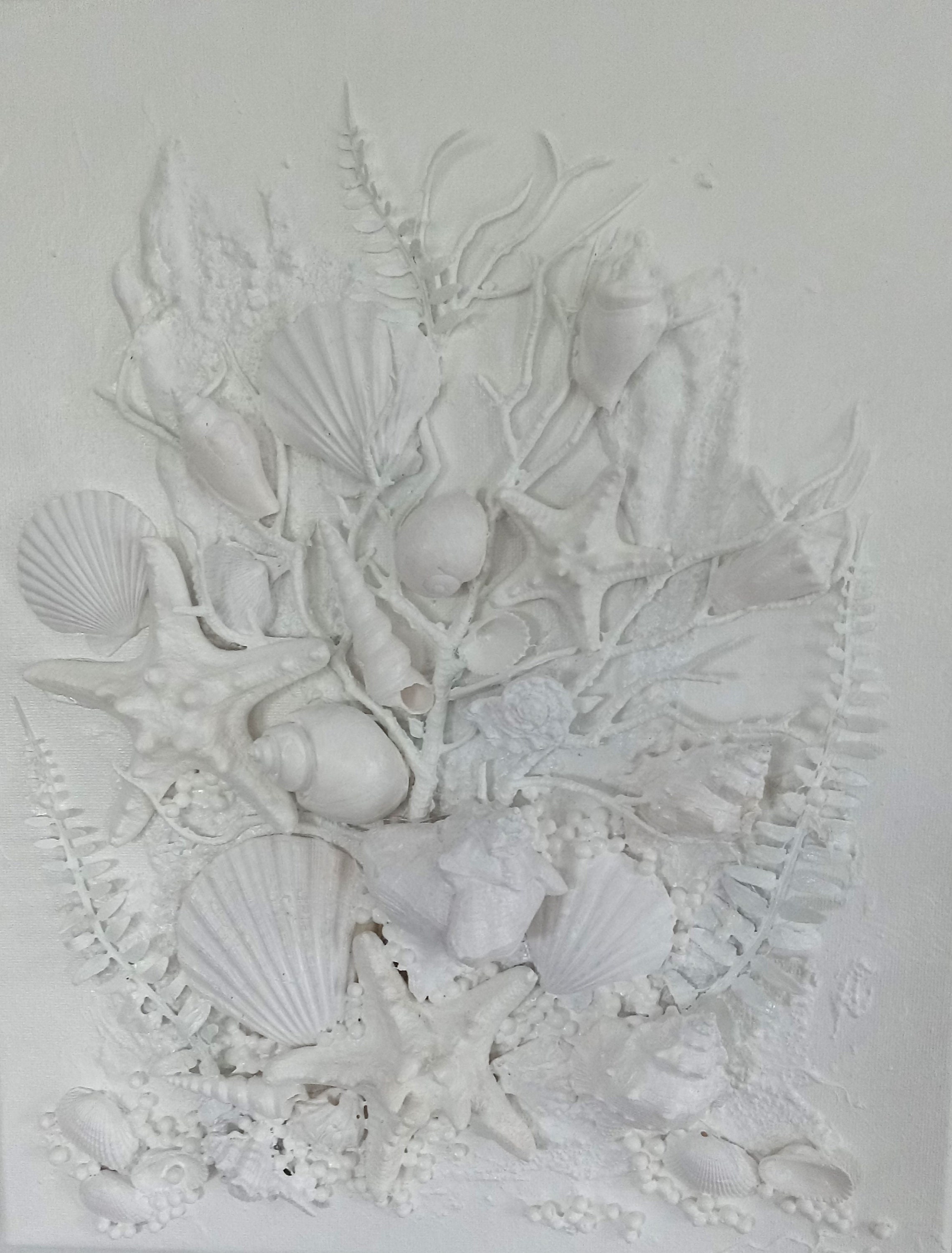 Seashell Wall Hanging, White 11x14 Unique Seashell Art, Modern Shell ...