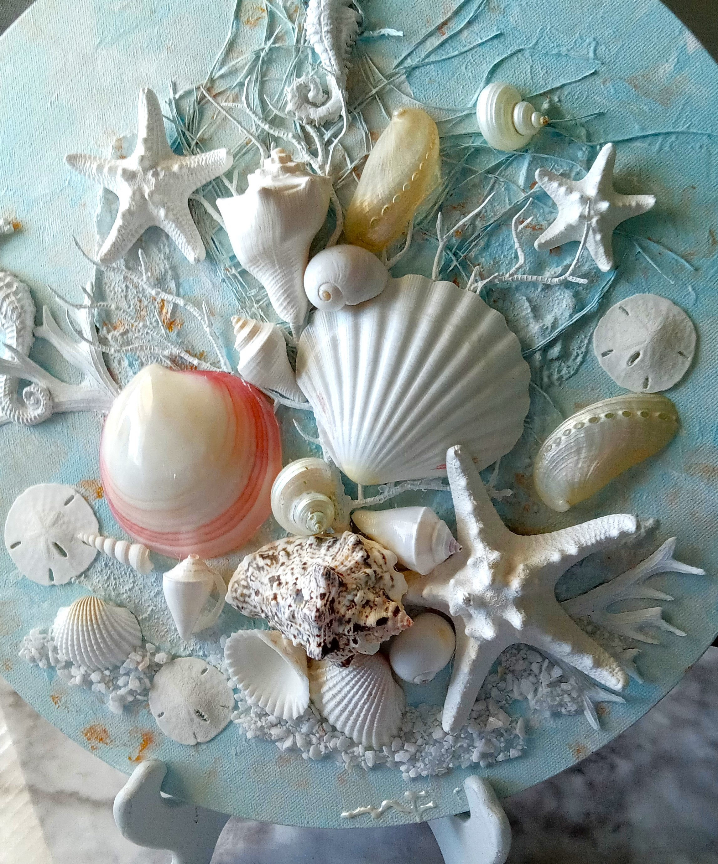 Modern Seashell Art, Coastal Wall Hanging, Unique 16 Round Canvas ...
